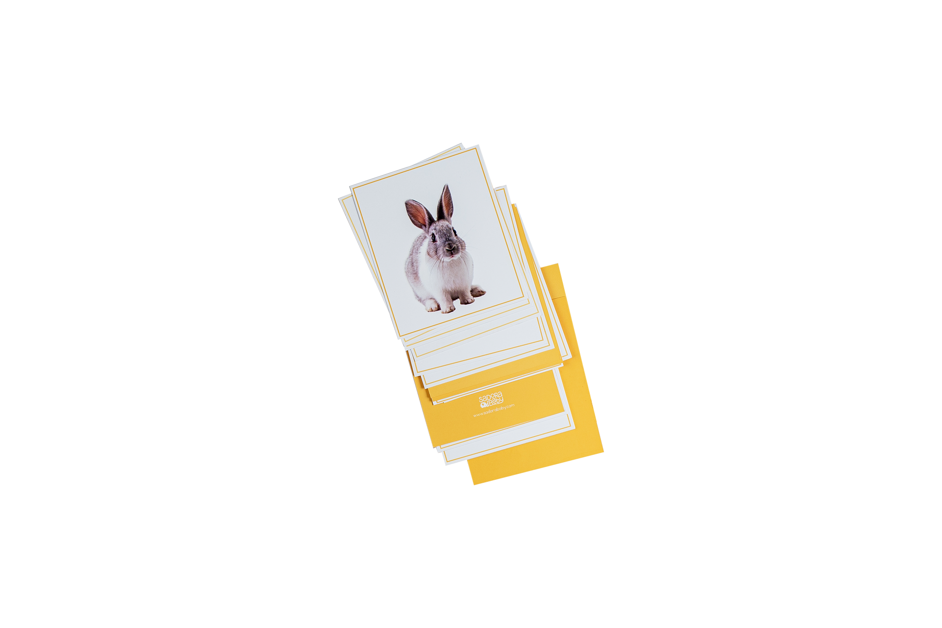Wild World Animal Educational Flashcards for Newborns Online – Sadora Baby